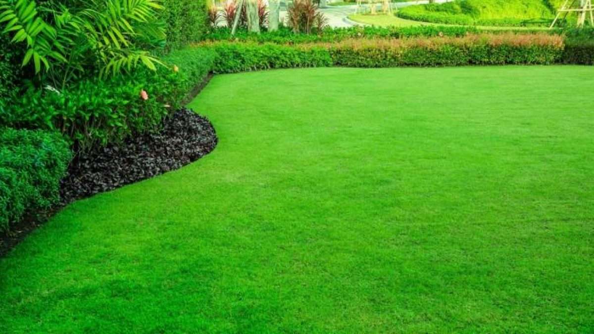 How do I prepare my lawn for spring and summer?