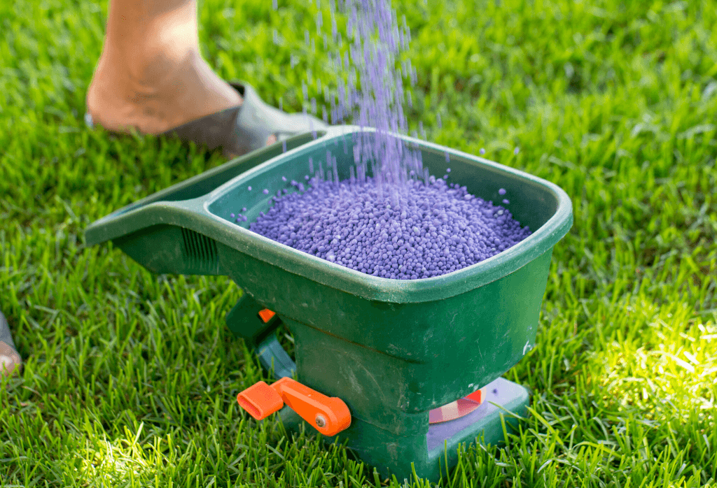 How To Choose The Right Lawn Fertilizer For Summer