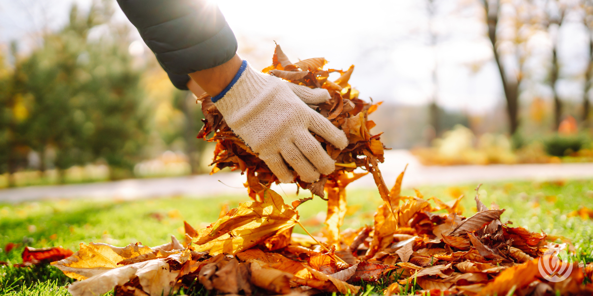 4 Benefits of Hiring Help for Your Fall Clean-Up